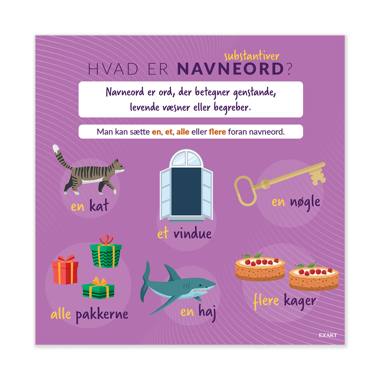 Hvad er navneord? | EXAKT