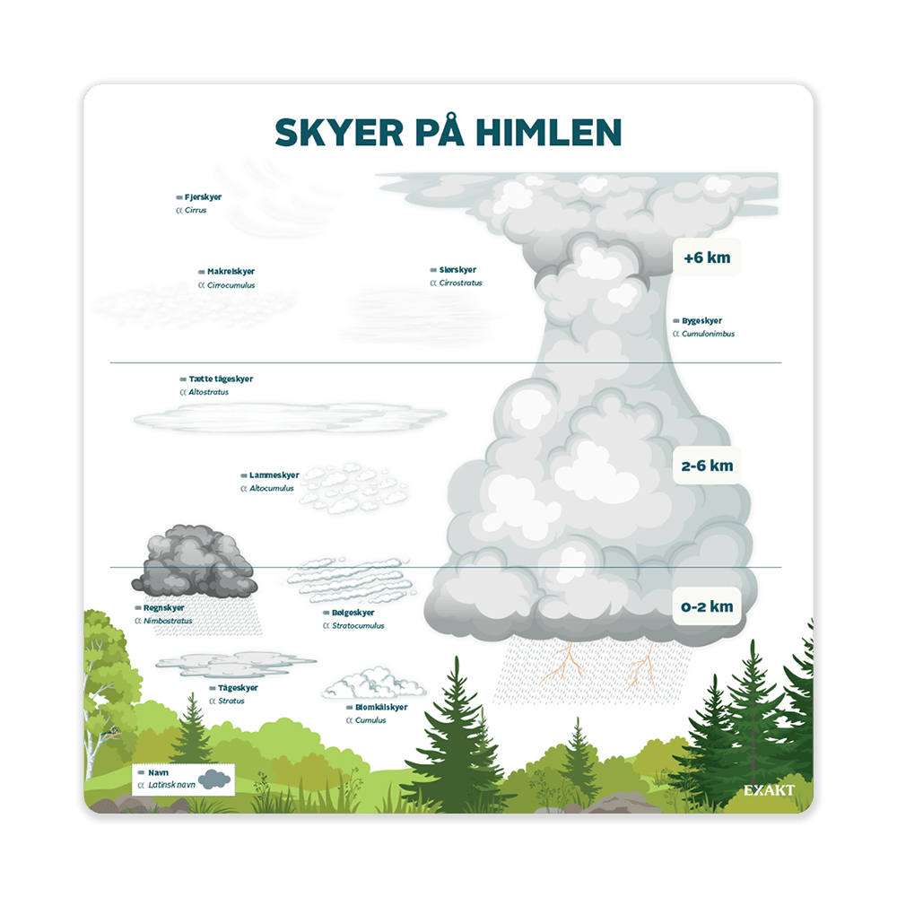 Skyer på himlen - Naturformidling | EXAKT