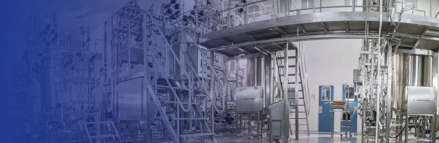 Drug Substance Process Development & Manufacturing | GMP Clinical ...