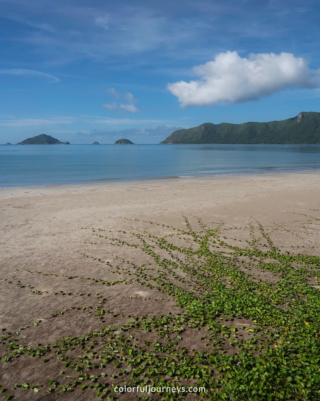 Con Dao Island: A Travel Guide to History, Beaches, and Beyond