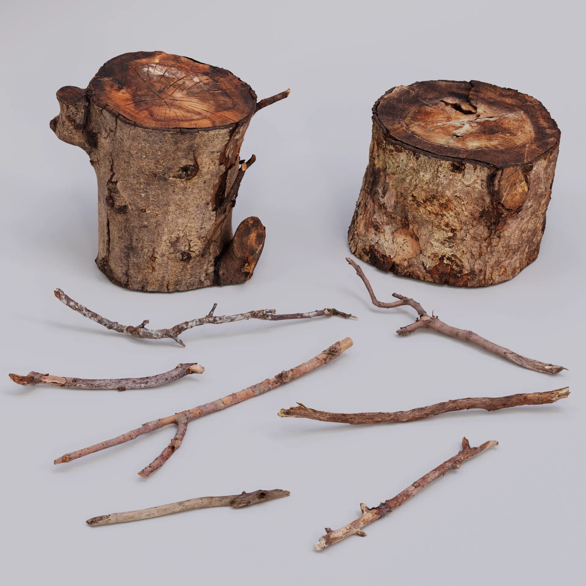 3D Scanned Sticks [Nanite & Game-ready] - FlippedNormals