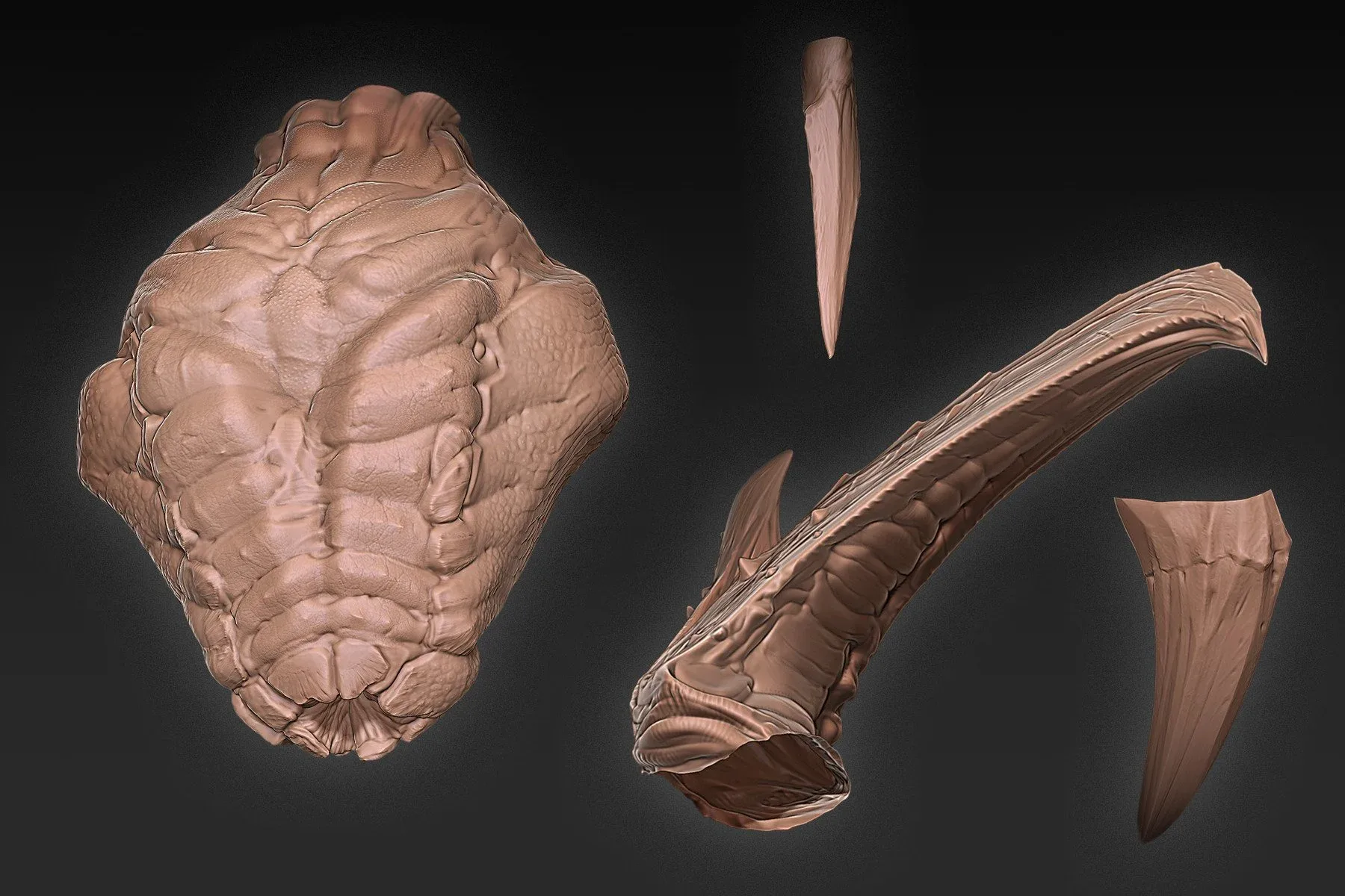 Alien Insect IMM - FlippedNormals