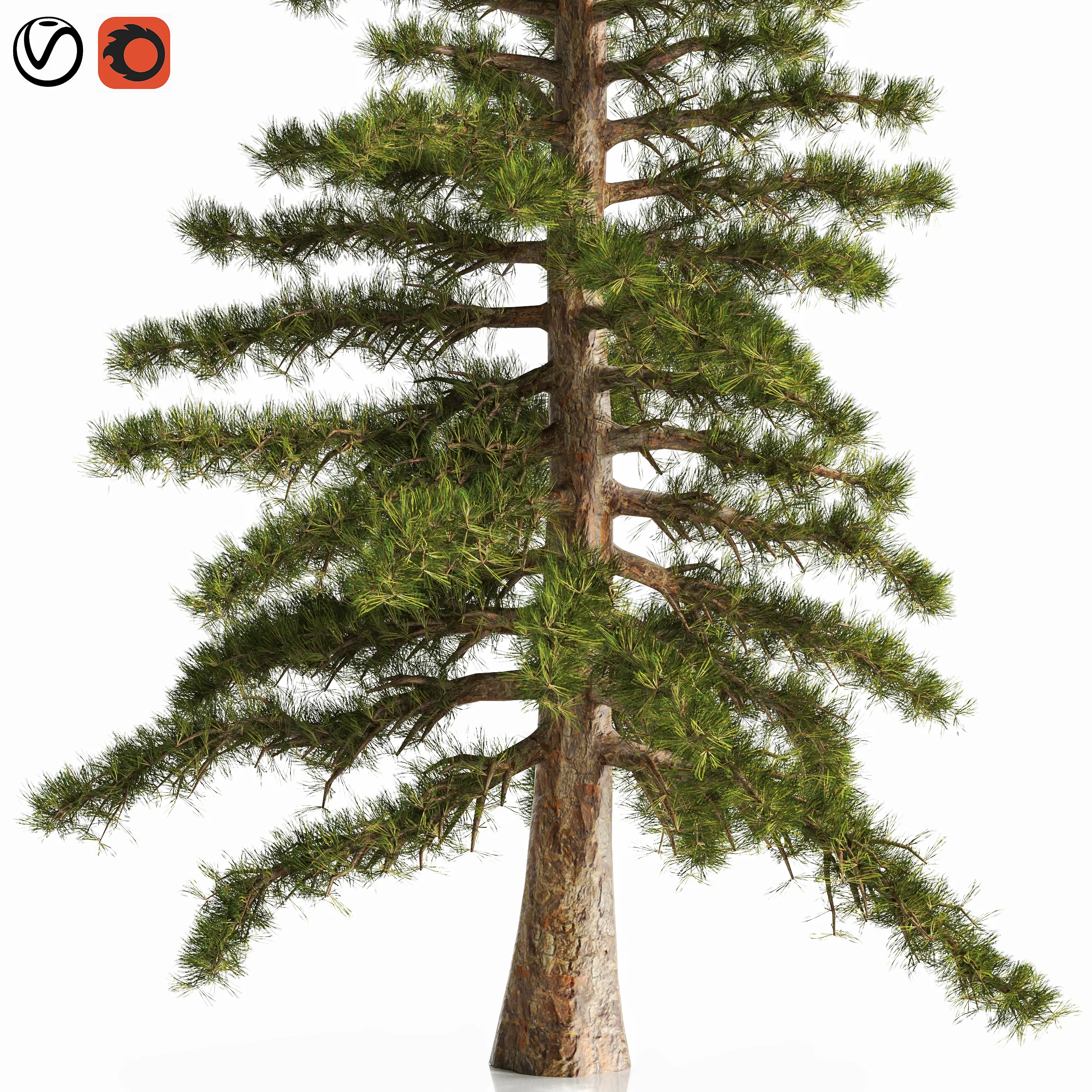 2 Pine Tree - FlippedNormals