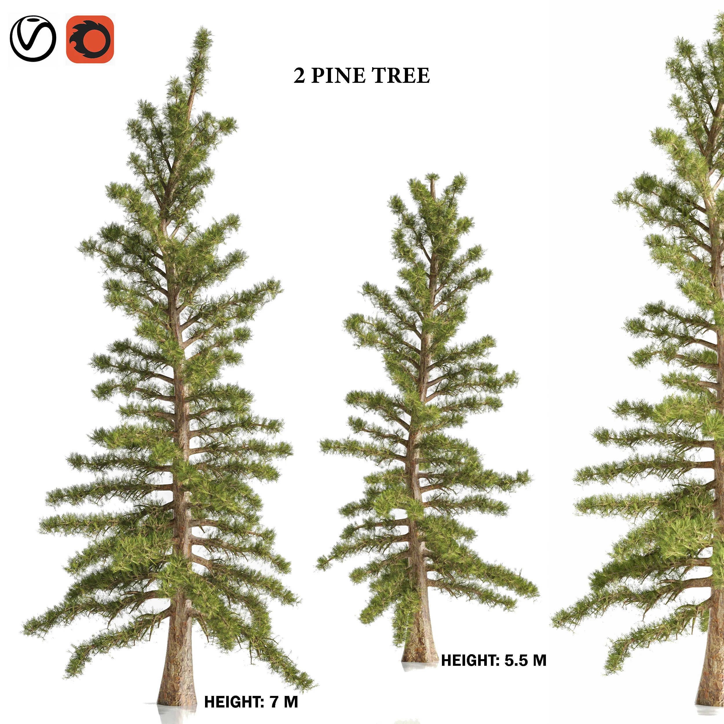 2 Pine Tree - FlippedNormals