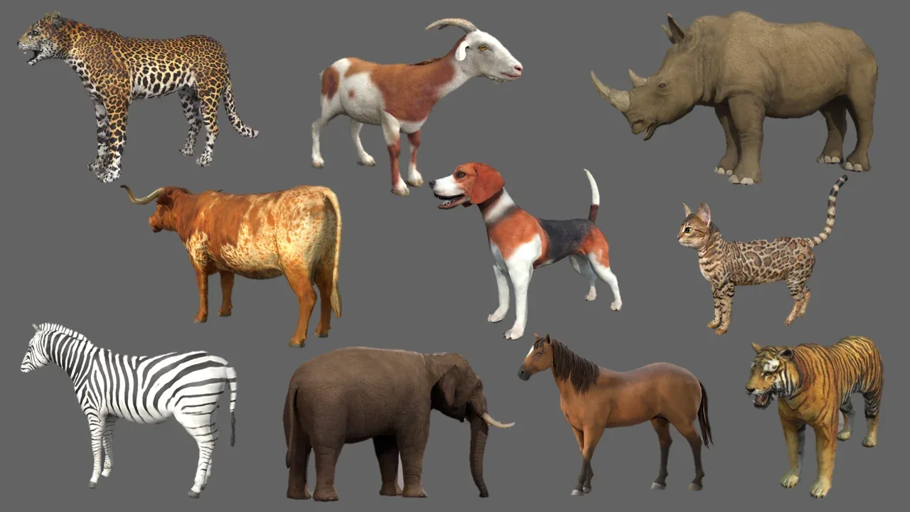 African Animal Collections - FlippedNormals
