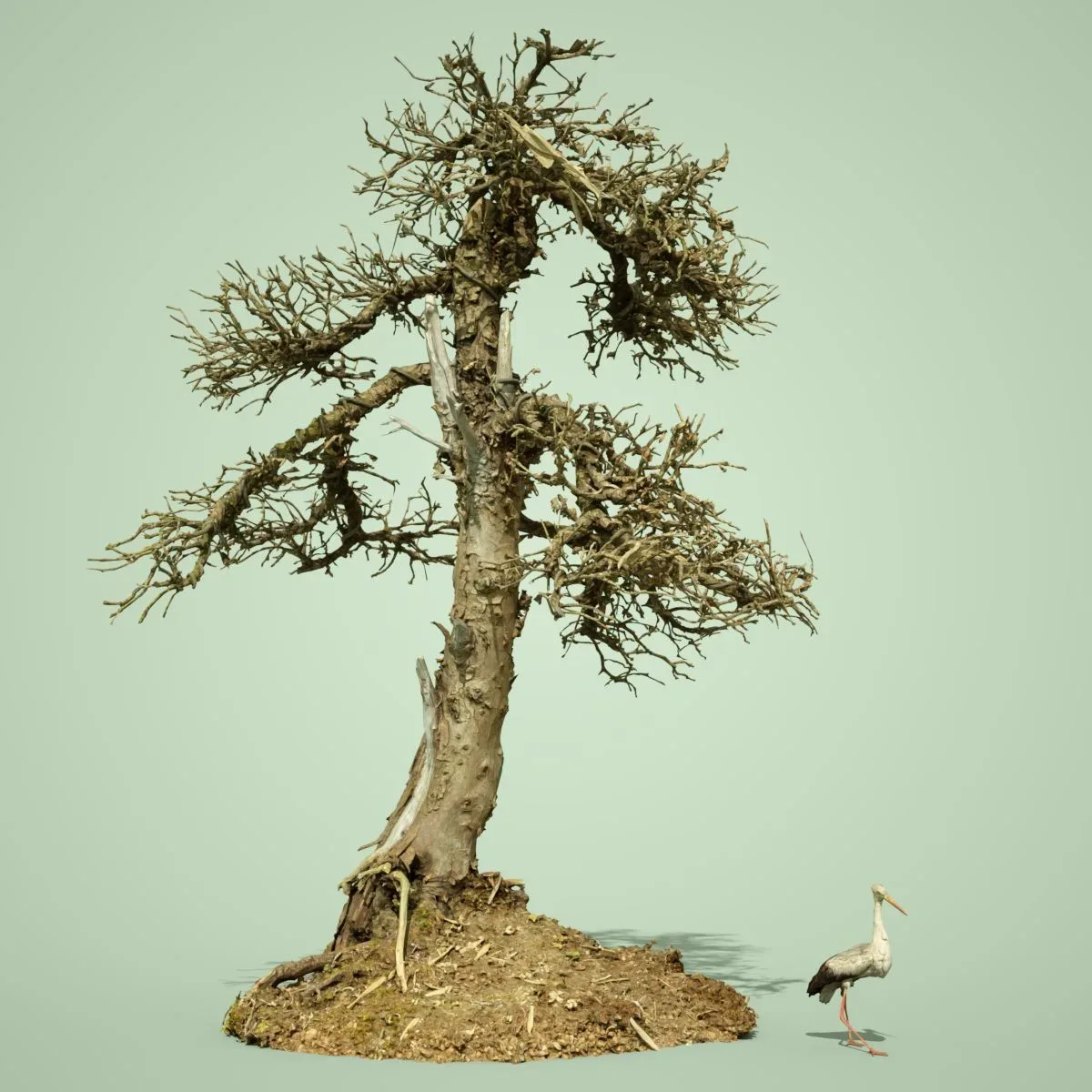 Dead Bonsai Tree 4 - FlippedNormals