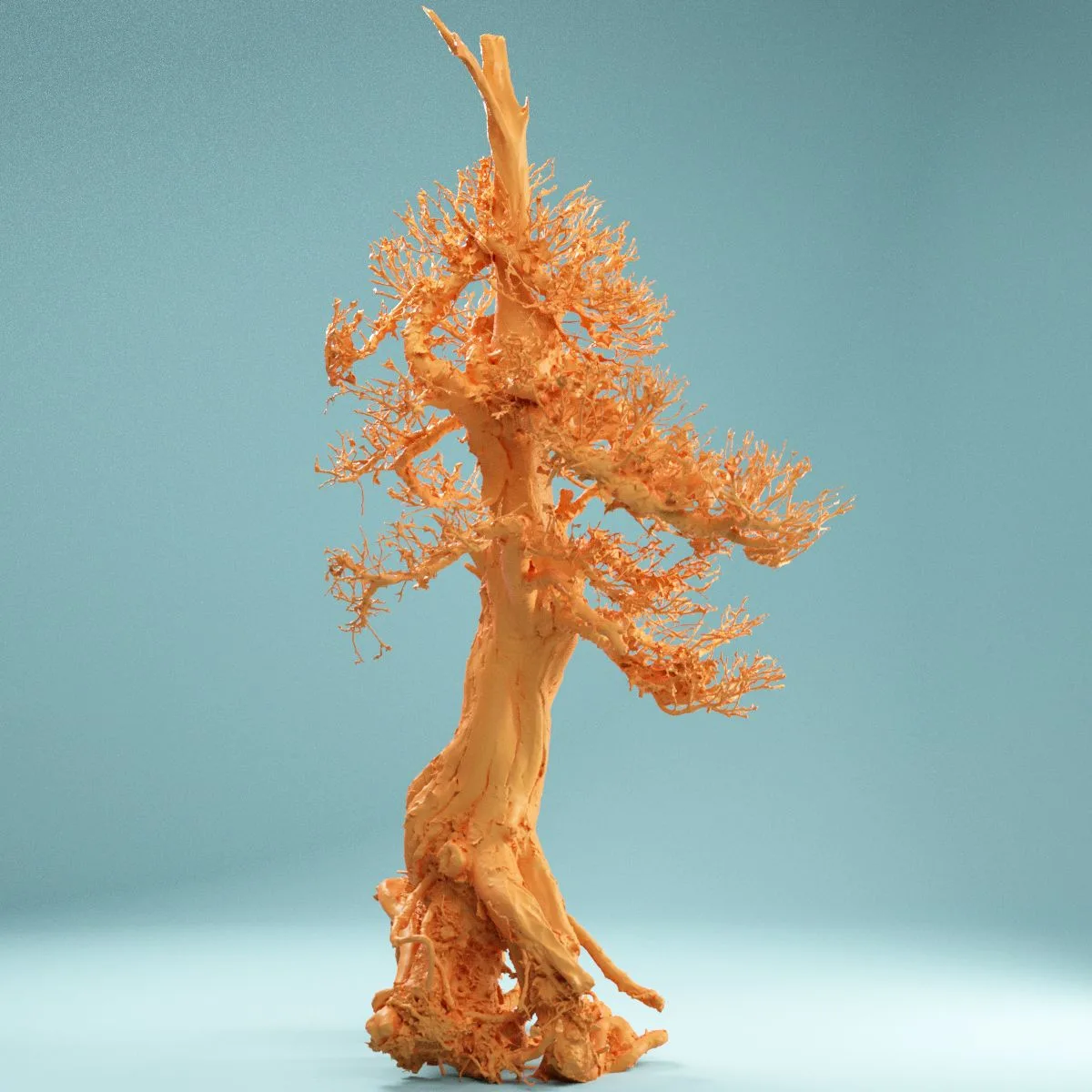RAW SCAN Dead Bonsai Tree 5 - FlippedNormals