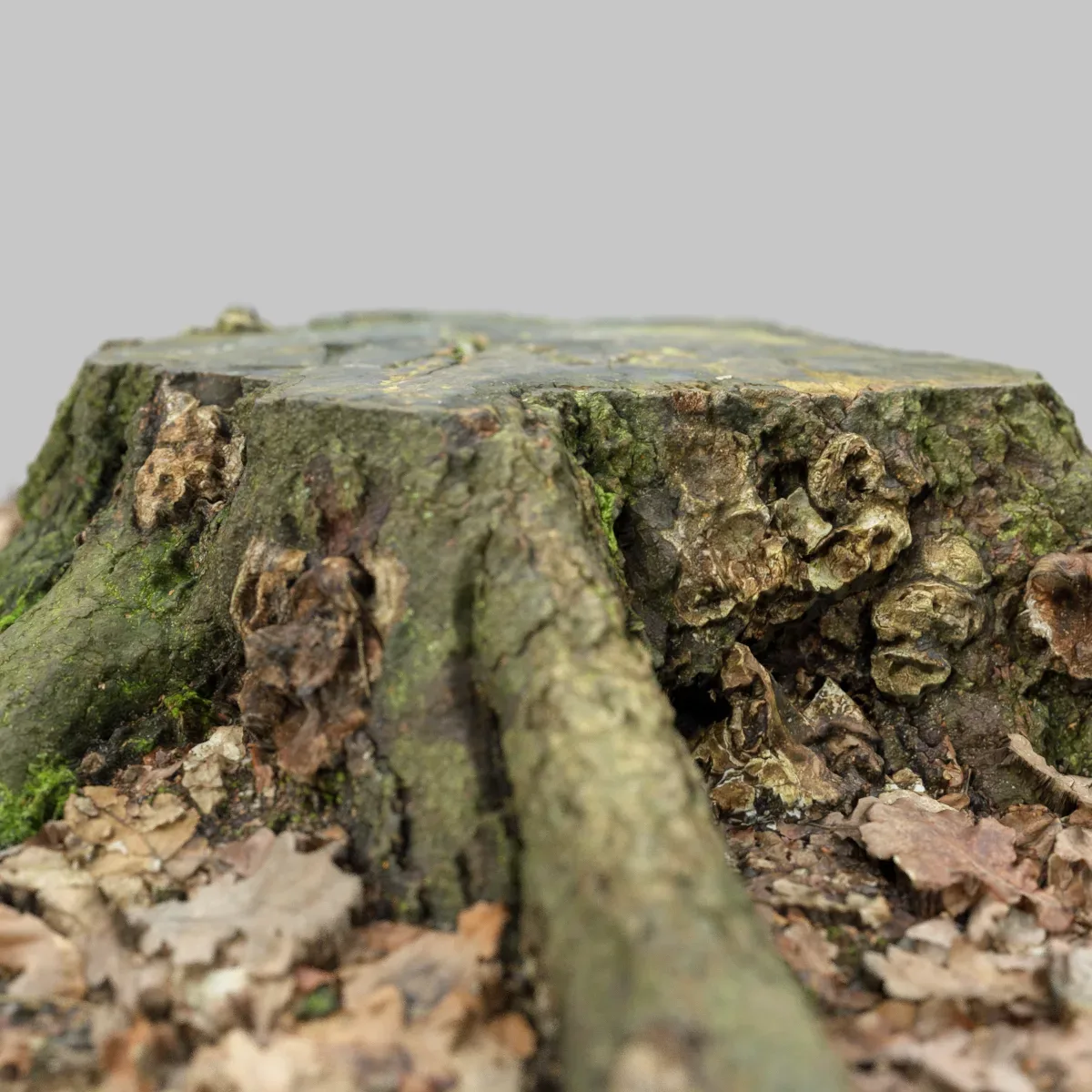 Mini Moss Stump - FlippedNormals