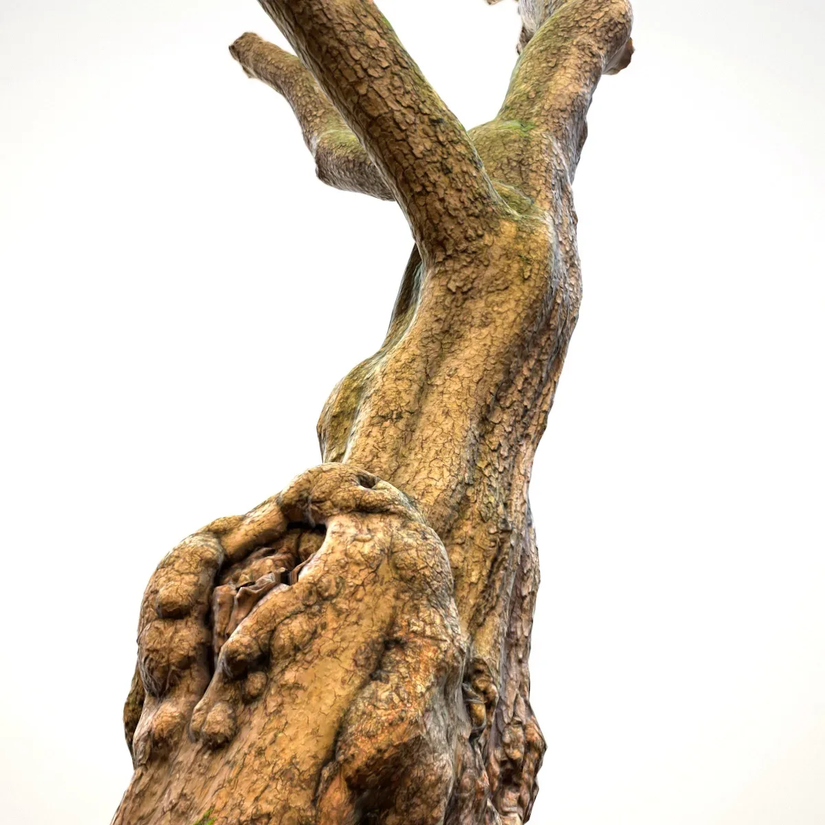 Tree 2 - FlippedNormals