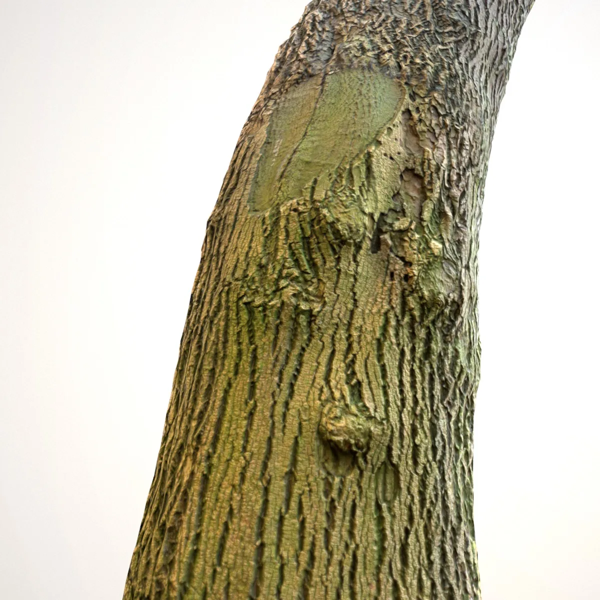 Tree 5 - FlippedNormals