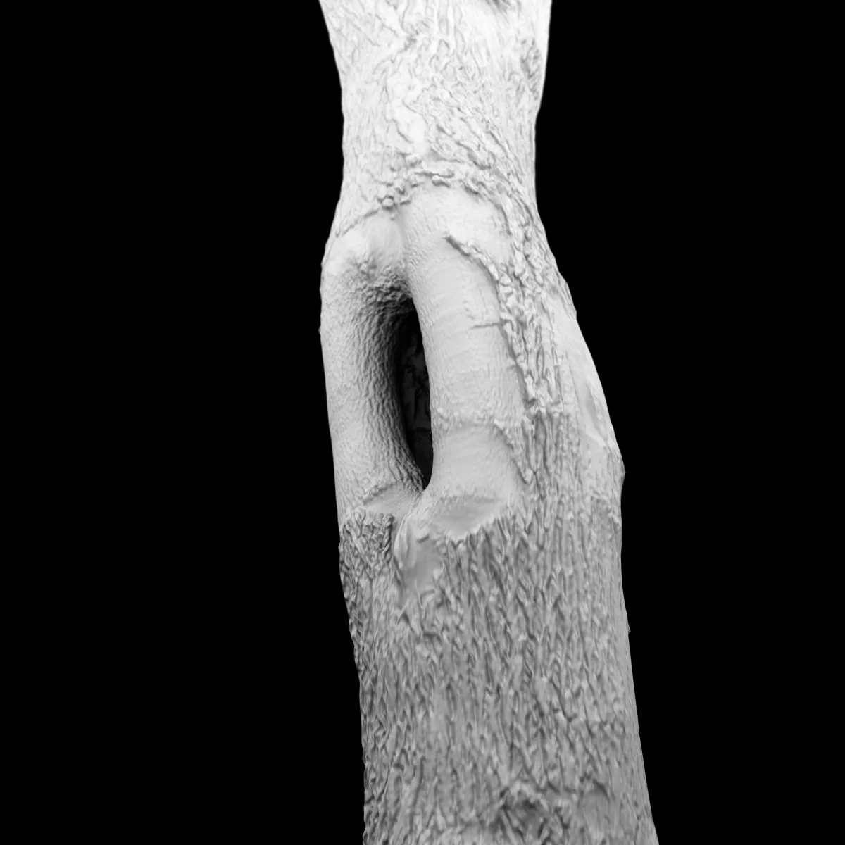 Tree 5 - FlippedNormals