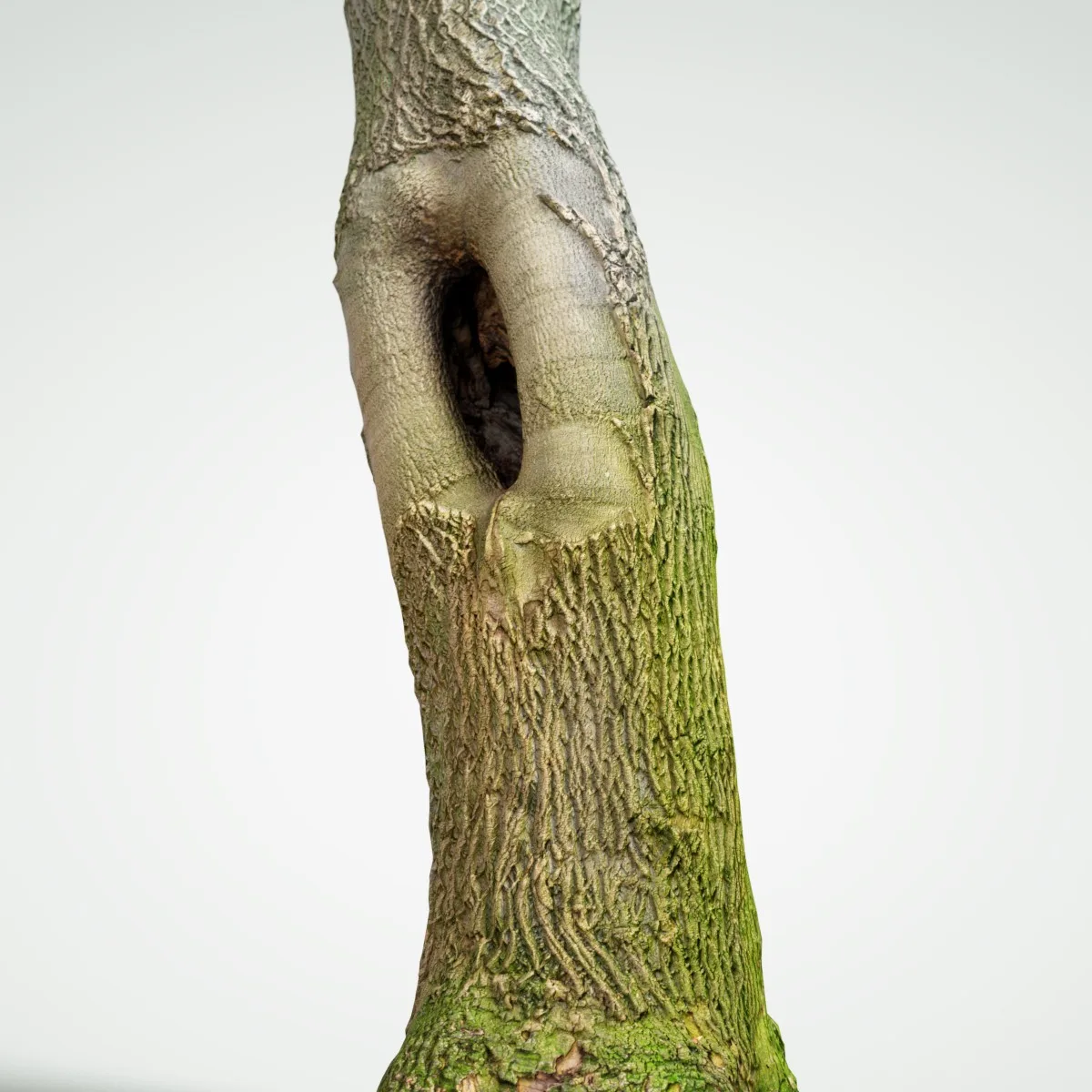 Tree 5 - FlippedNormals