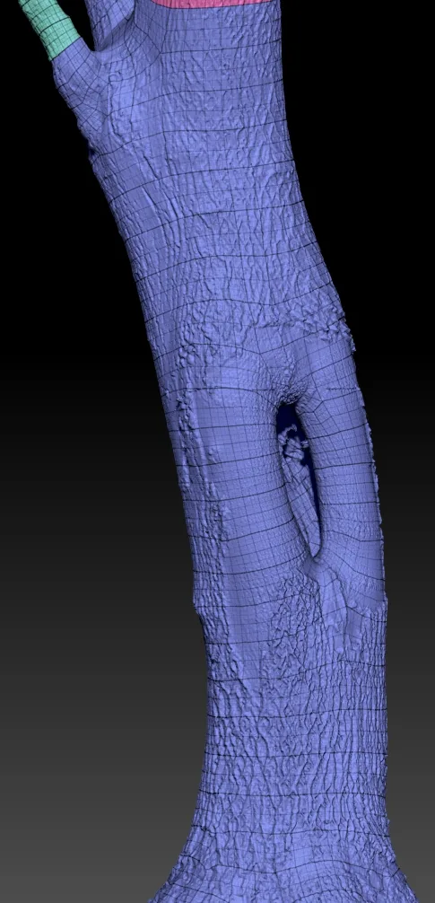 Tree 5 - FlippedNormals