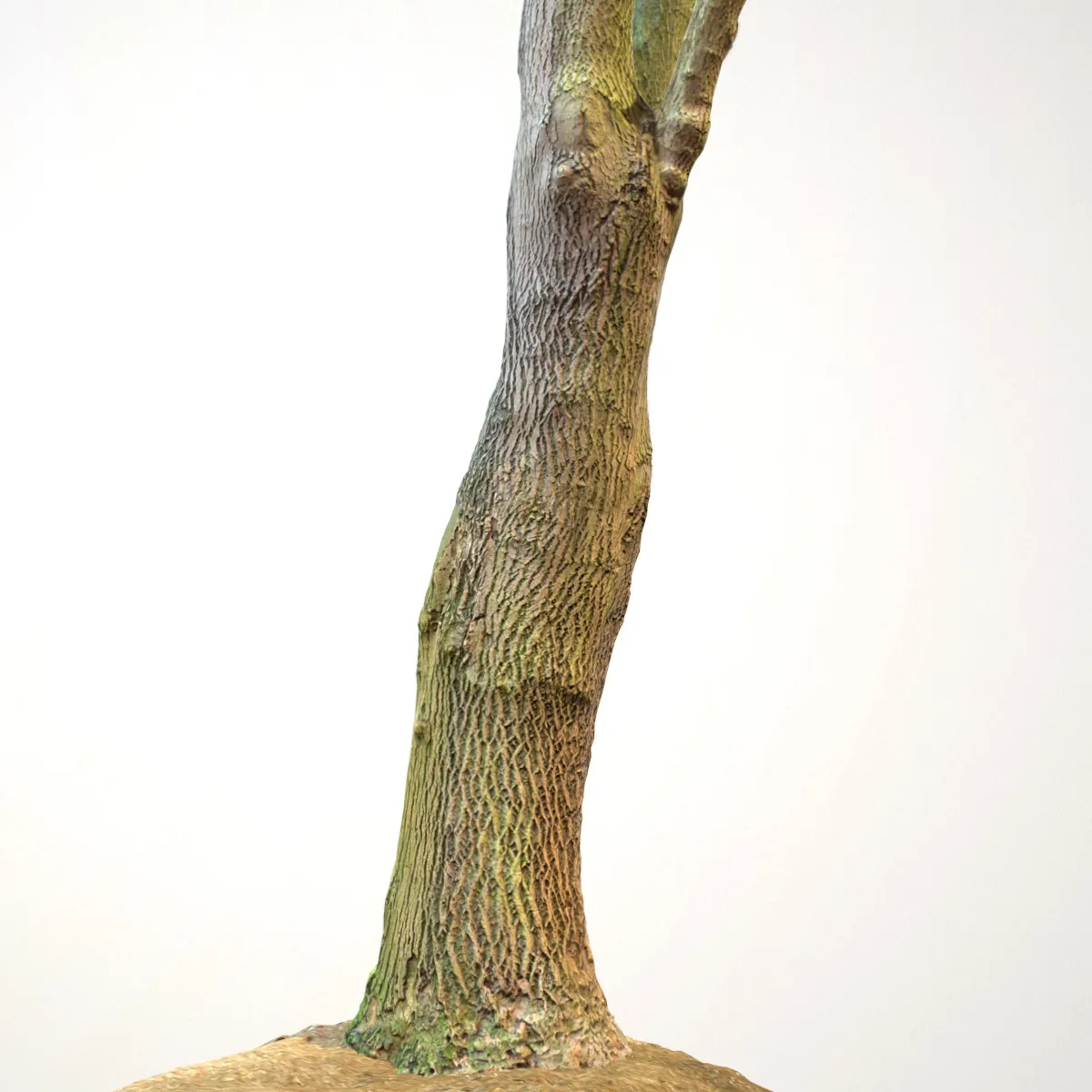 Tree 5 - FlippedNormals