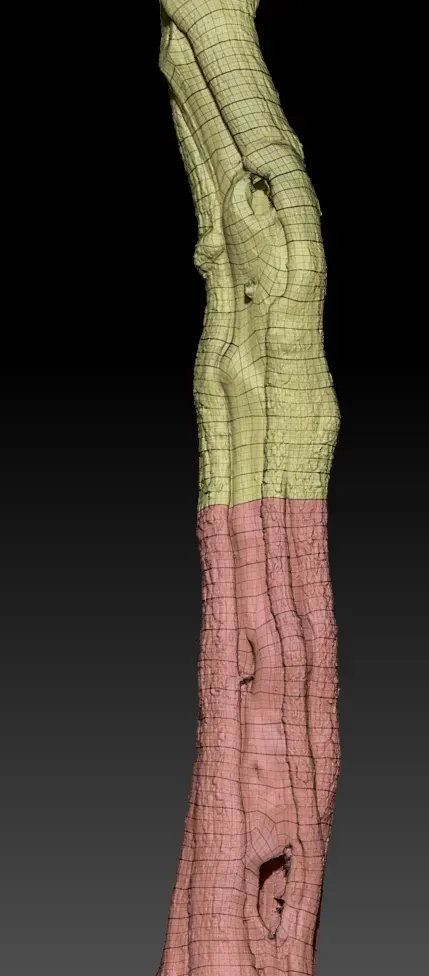 Tree 8 - FlippedNormals