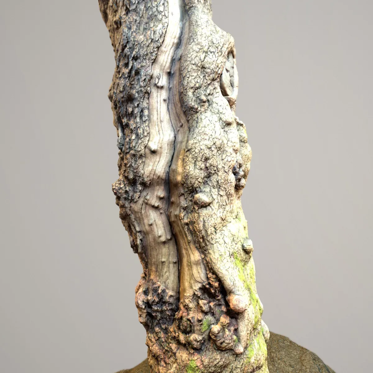 Tree 9 - FlippedNormals