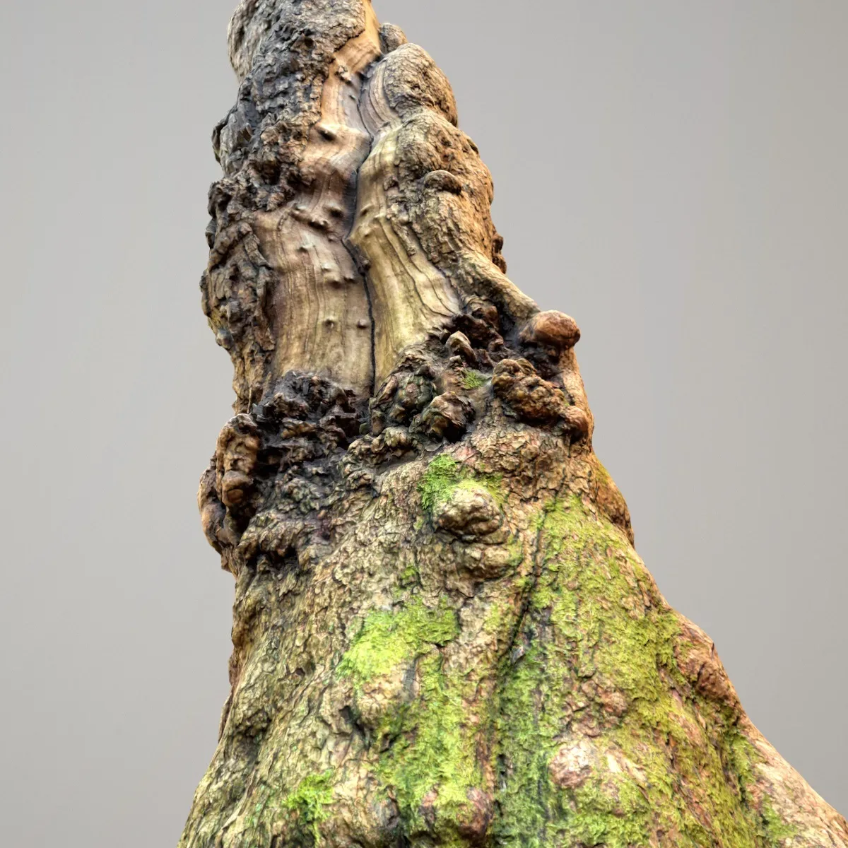 Tree 9 - FlippedNormals