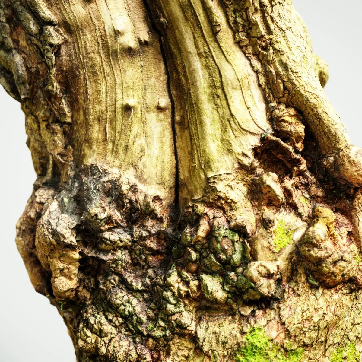 Tree 9 - FlippedNormals