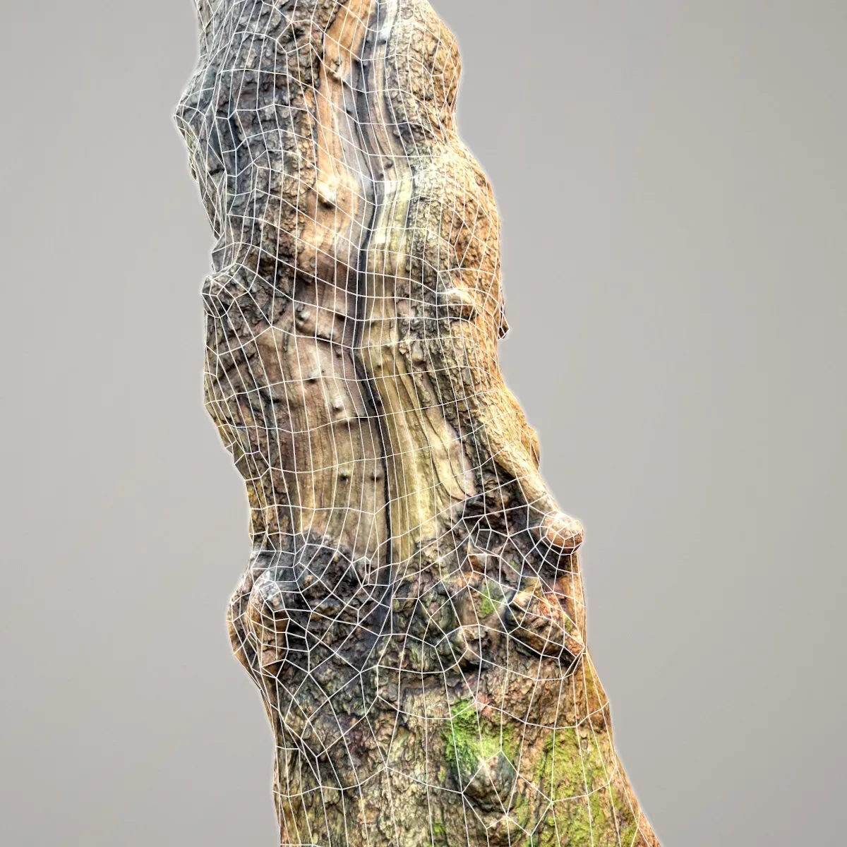 Tree 9 - FlippedNormals