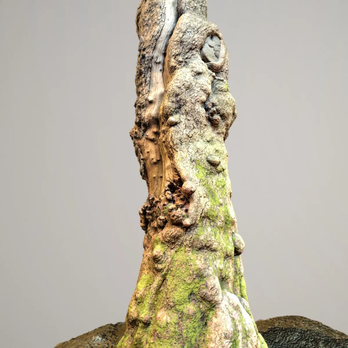 Tree 9 - FlippedNormals