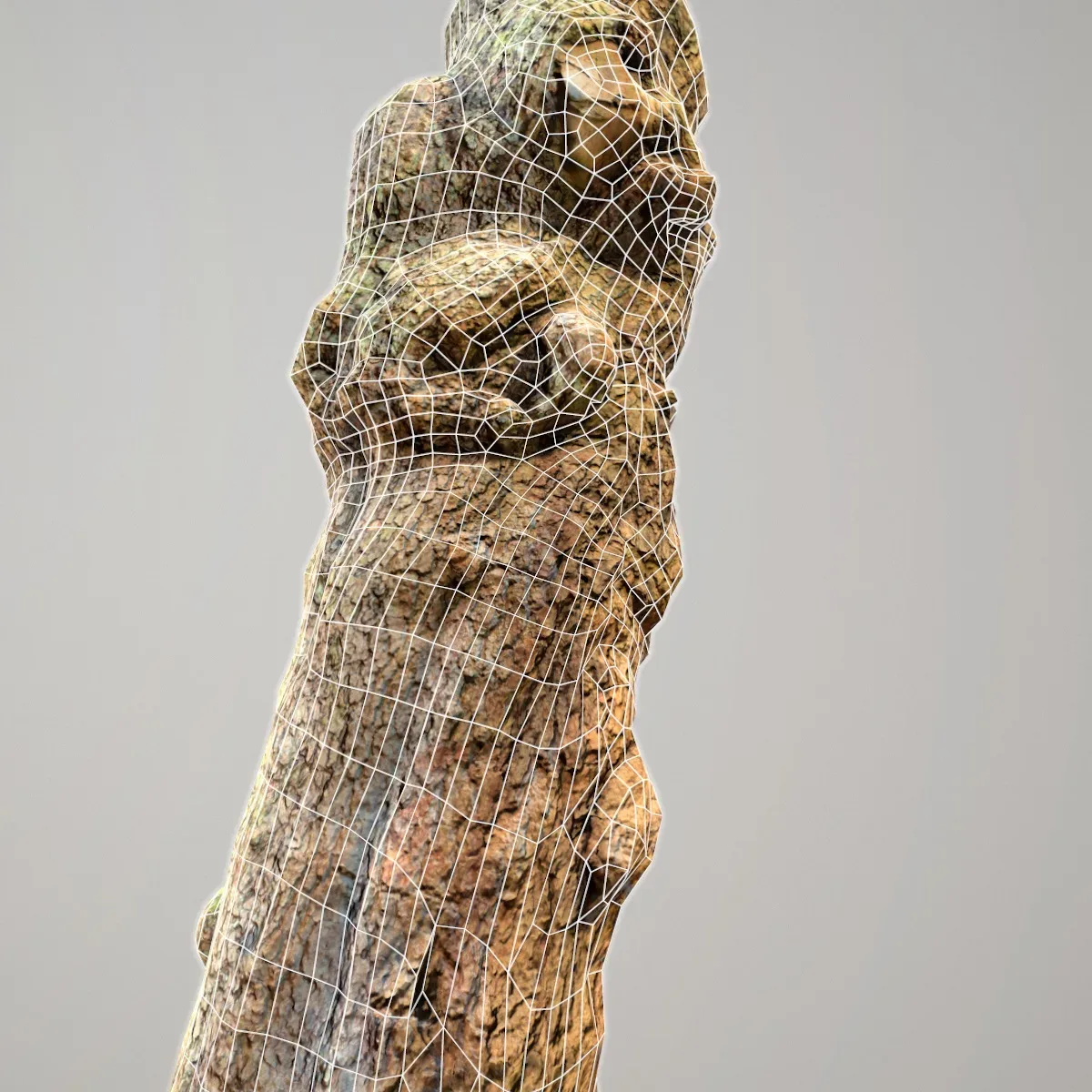 Tree 9 - FlippedNormals