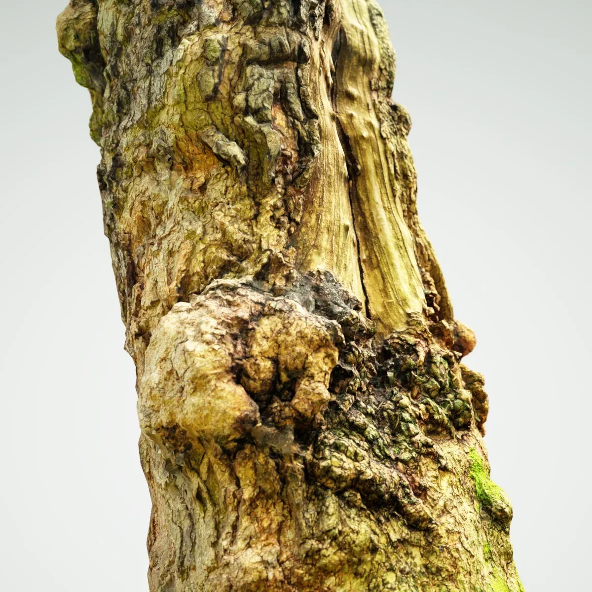 Tree 9 - FlippedNormals