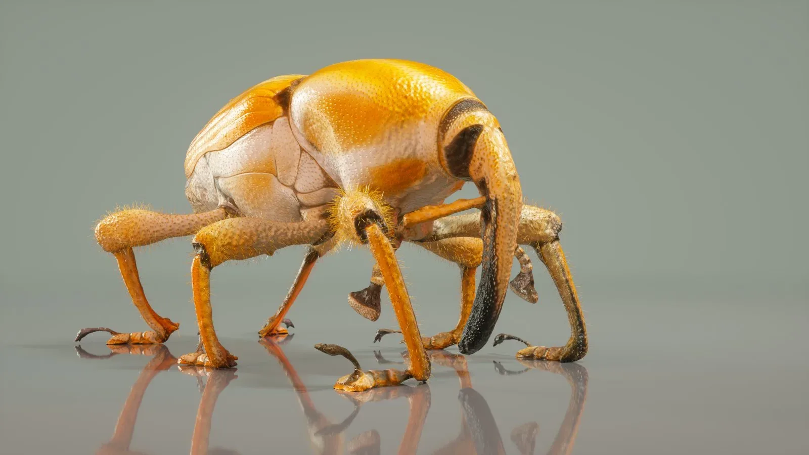 9 Incredible insects Master Collection - FlippedNormals