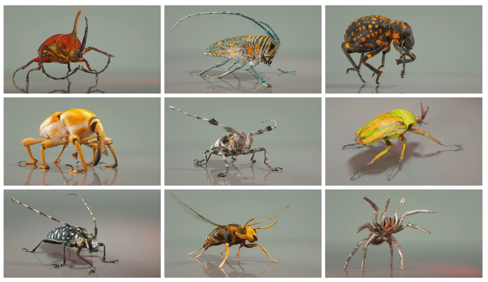 9 Incredible insects Master Collection - FlippedNormals
