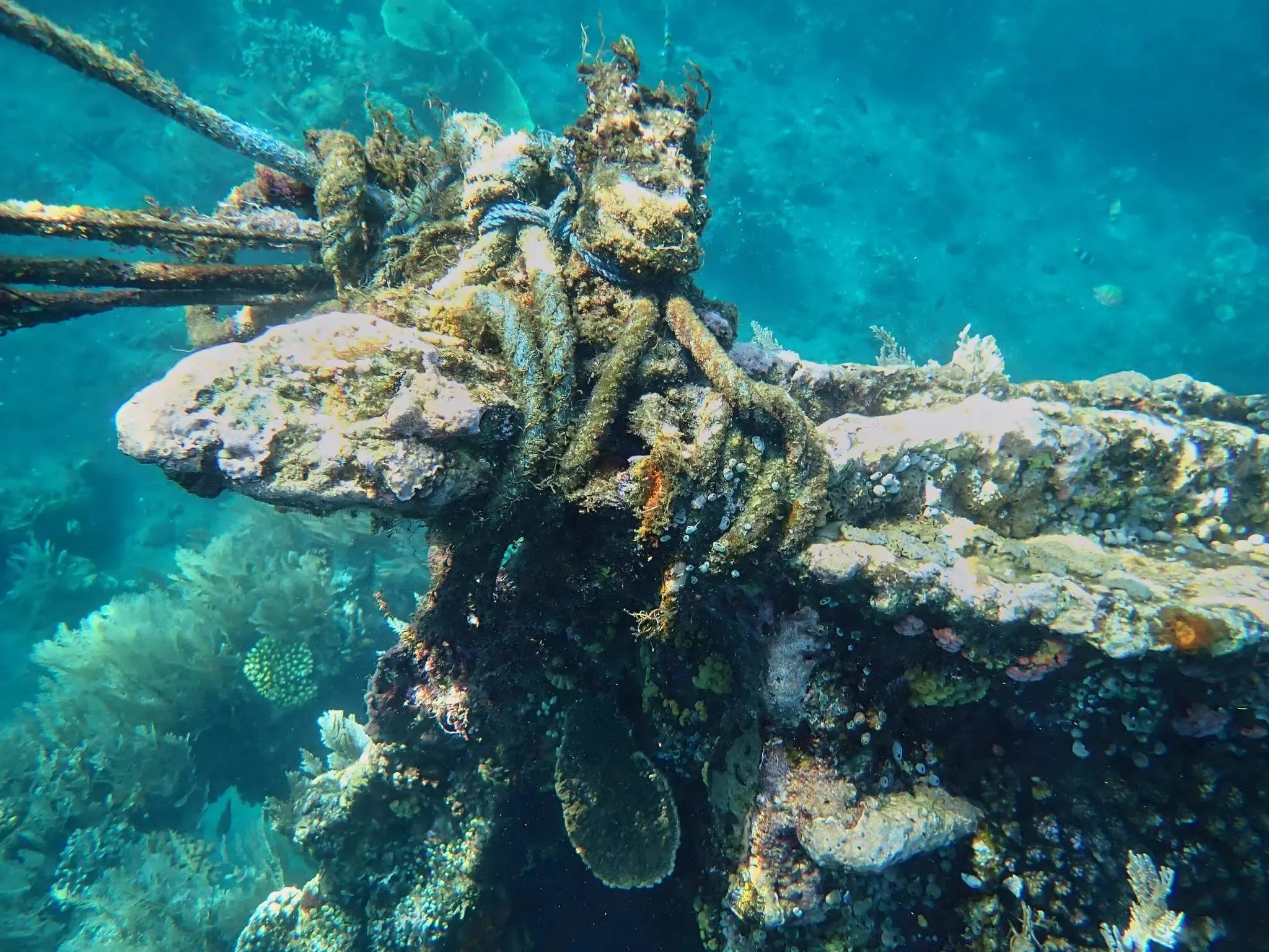 163 photos of Small Shallow Water - FlippedNormals