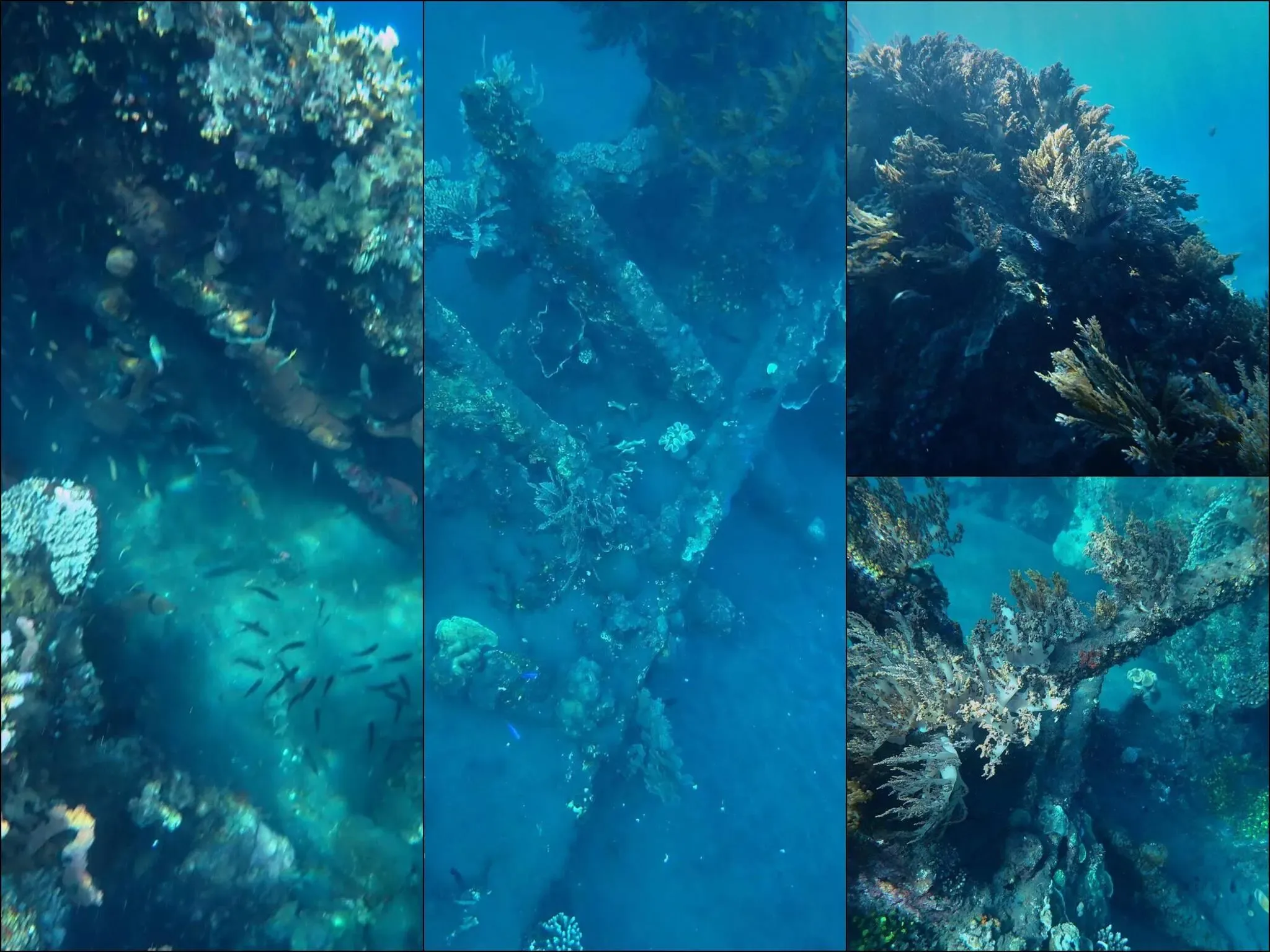 163 photos of Small Shallow Water - FlippedNormals