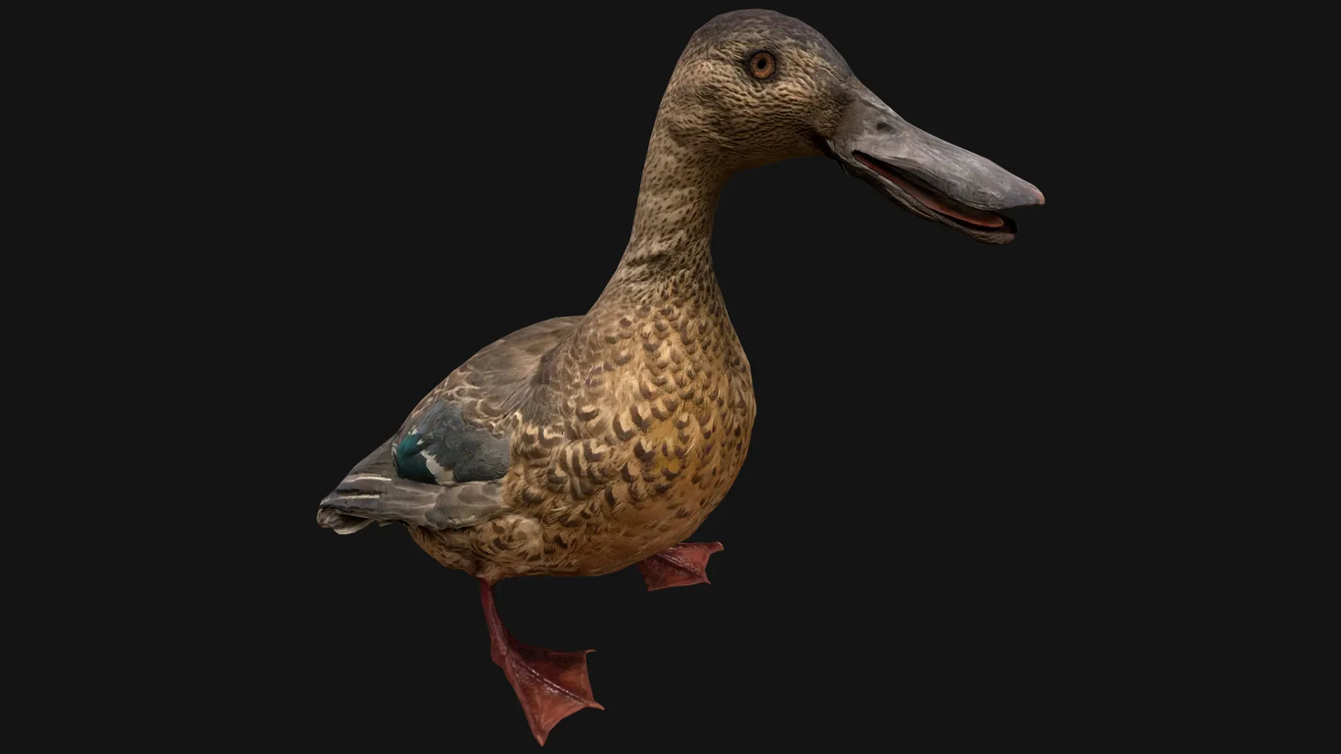 Duck Pack - FlippedNormals