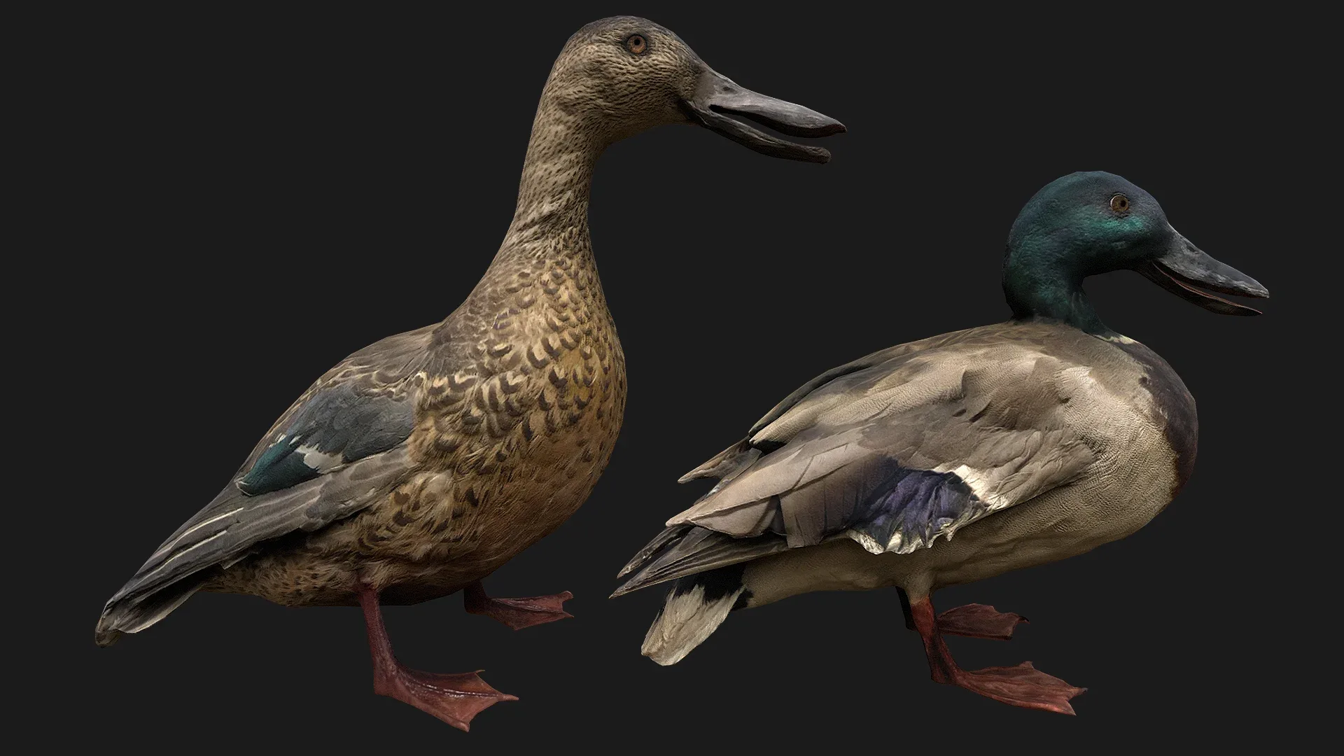 Duck Pack - FlippedNormals