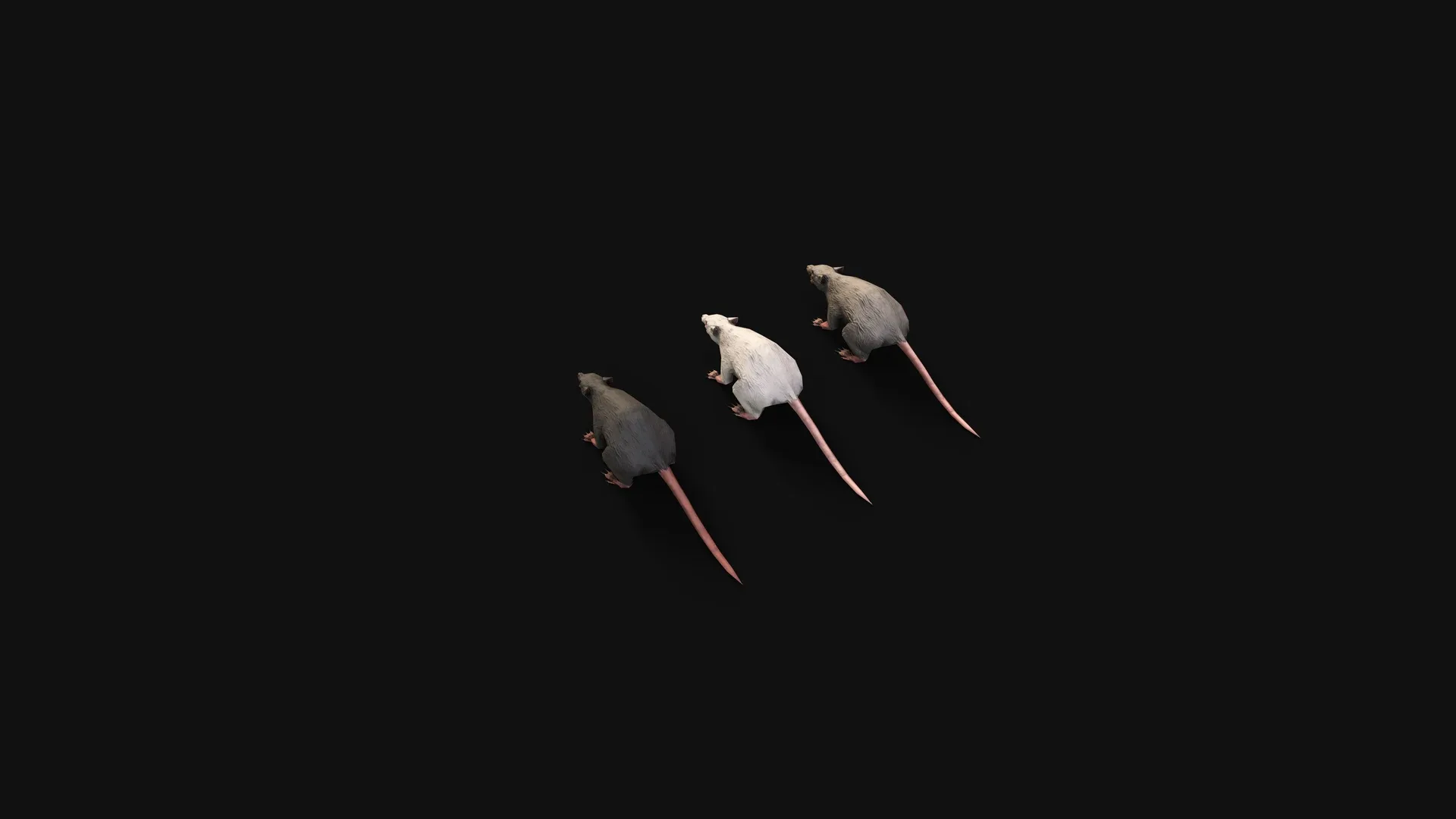 Mobile Rat - FlippedNormals