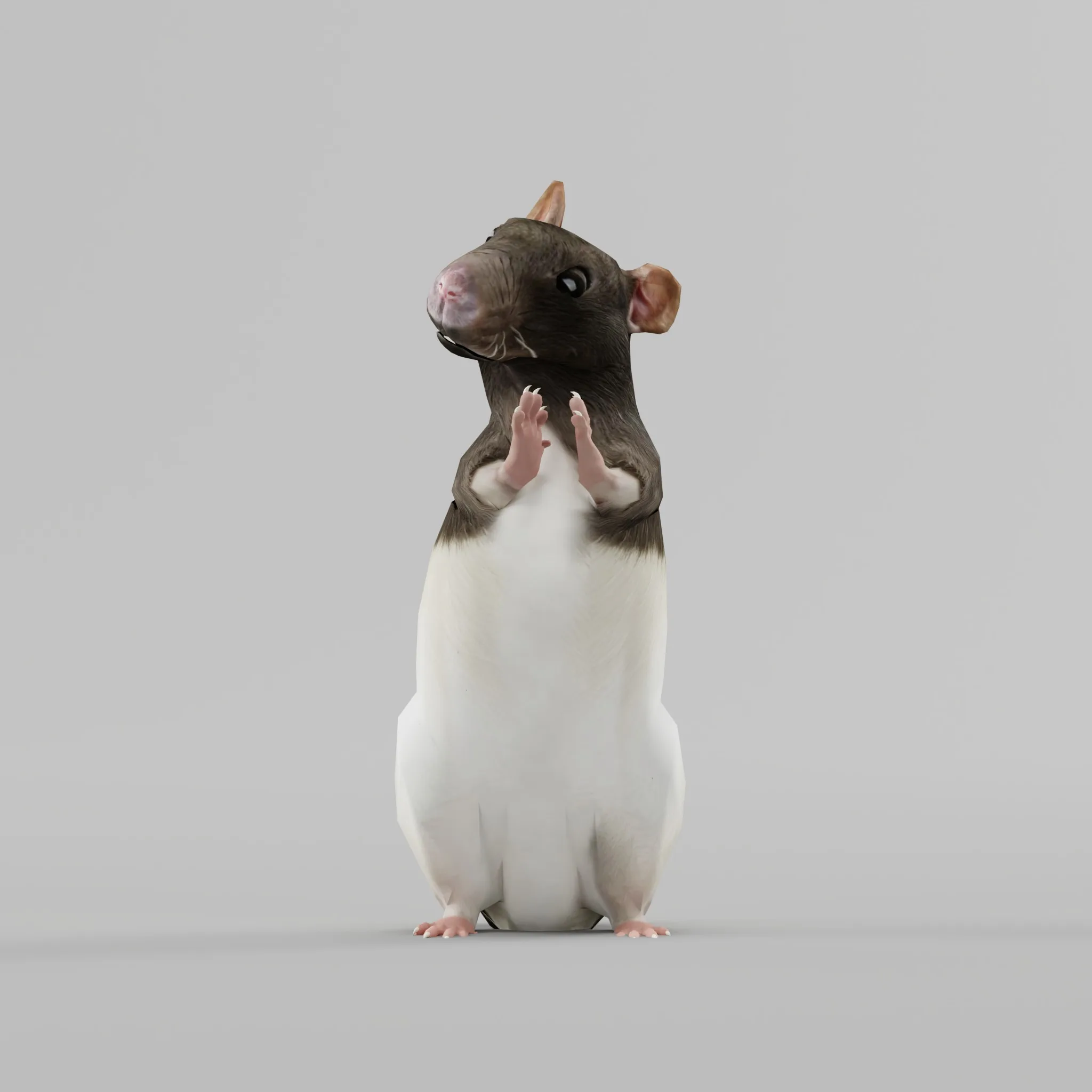 Common Rat - FlippedNormals