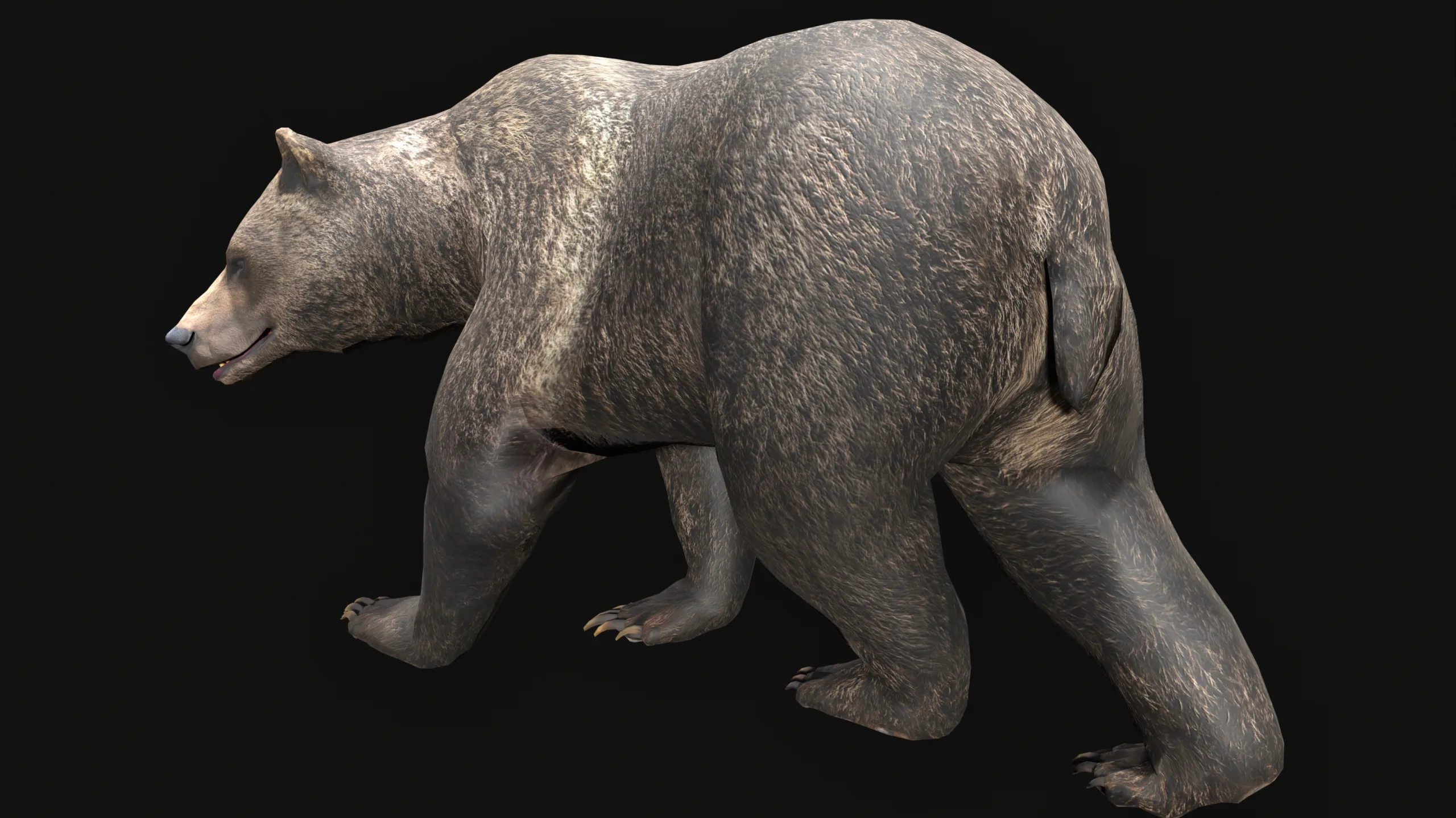 Low Poly Wild Bear 3D Animal - - FlippedNormals