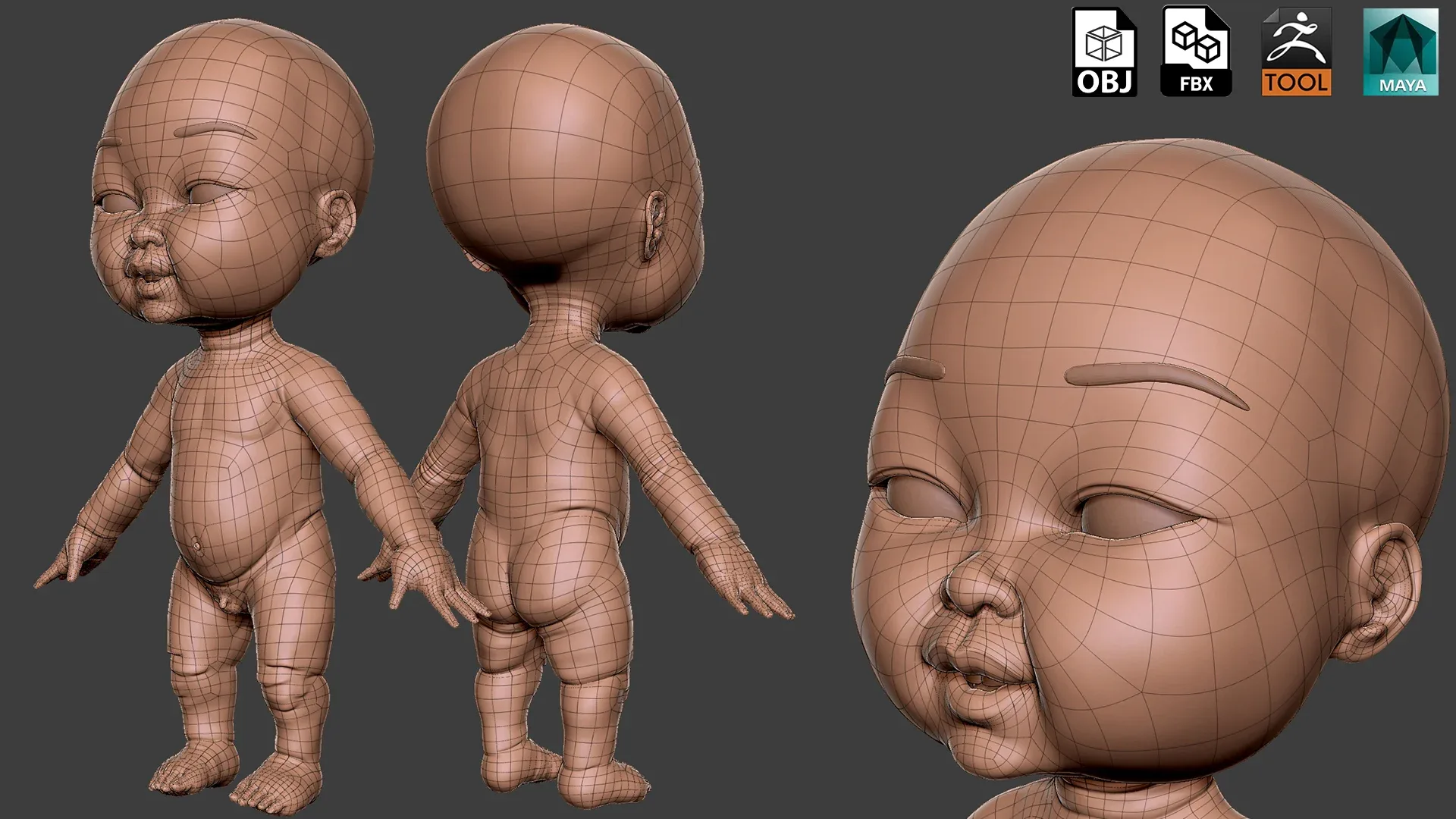 Baby Anatomy - Topology + UV Map - FlippedNormals