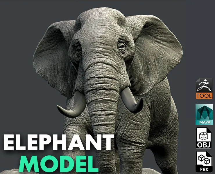 Elephant - Topology + UV Map - FlippedNormals