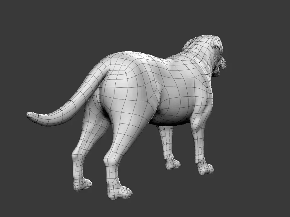 Labrador Dog - Topology + UV Map - FlippedNormals