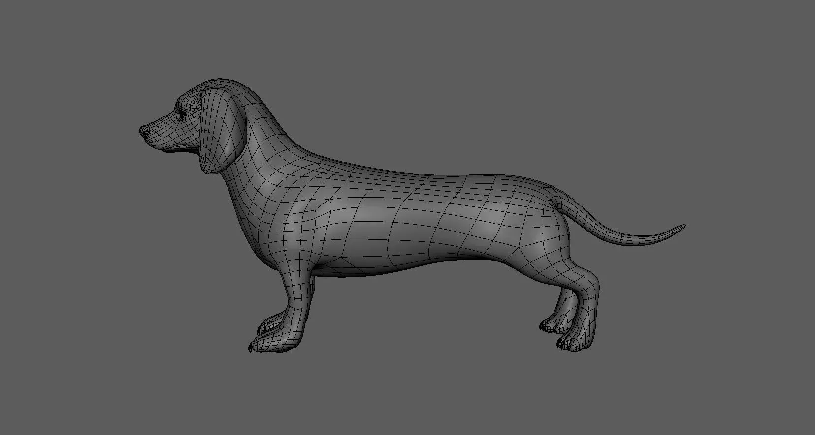 Dachshund Dog - Topology + UV Map - FlippedNormals