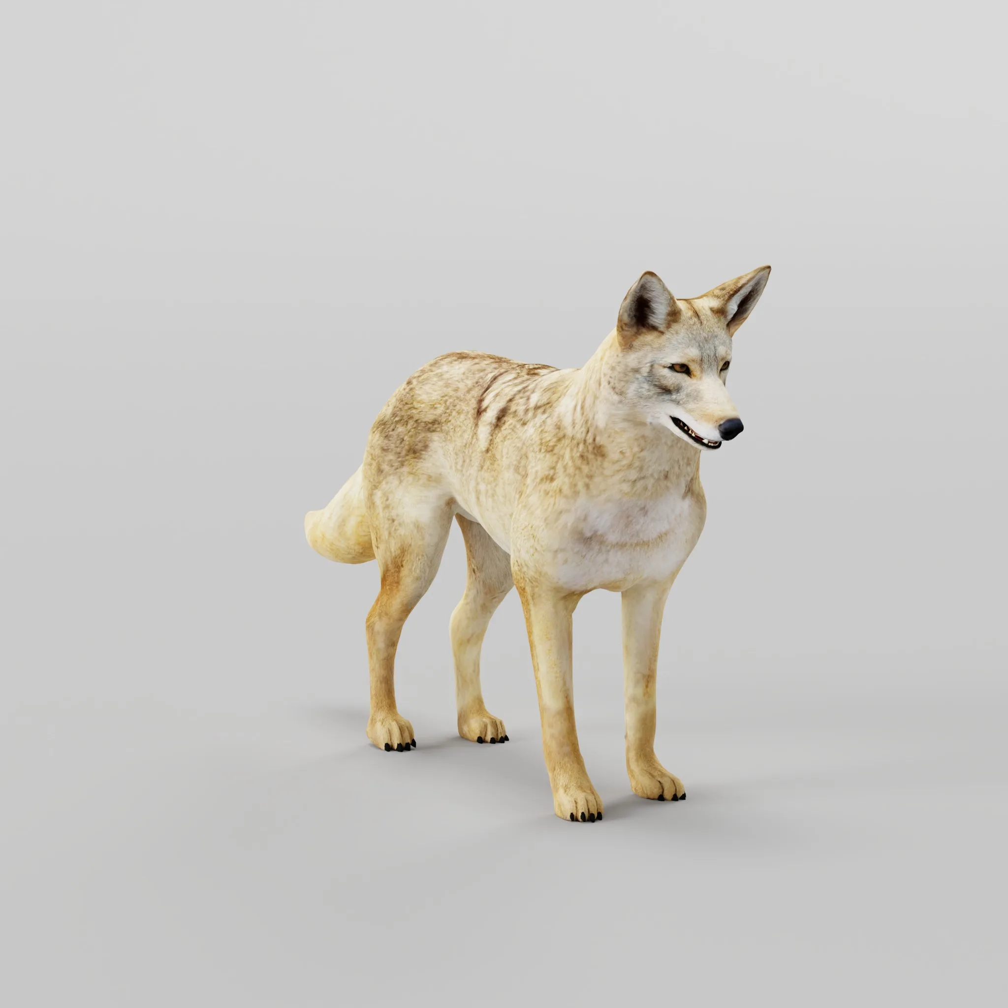 Coywolf - FlippedNormals