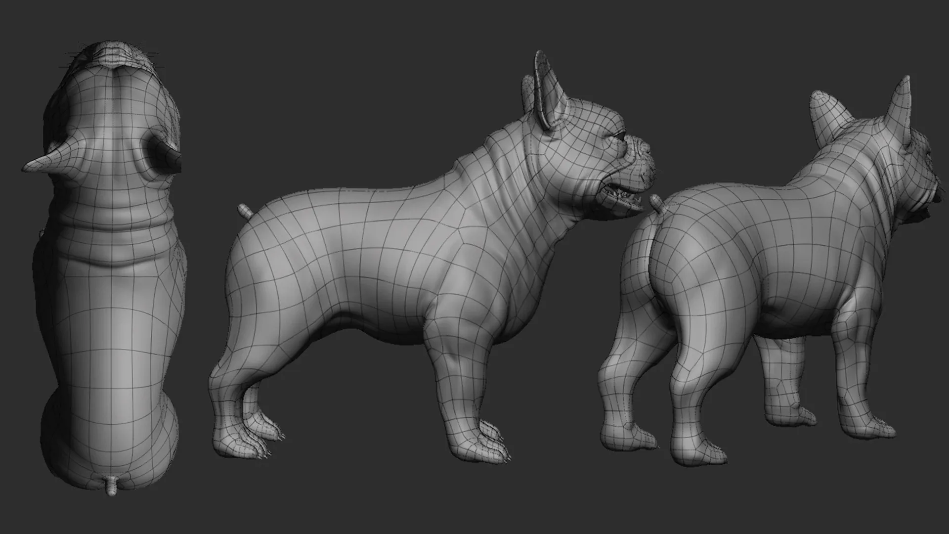 French Bulldog -Topology + UV Map - FlippedNormals