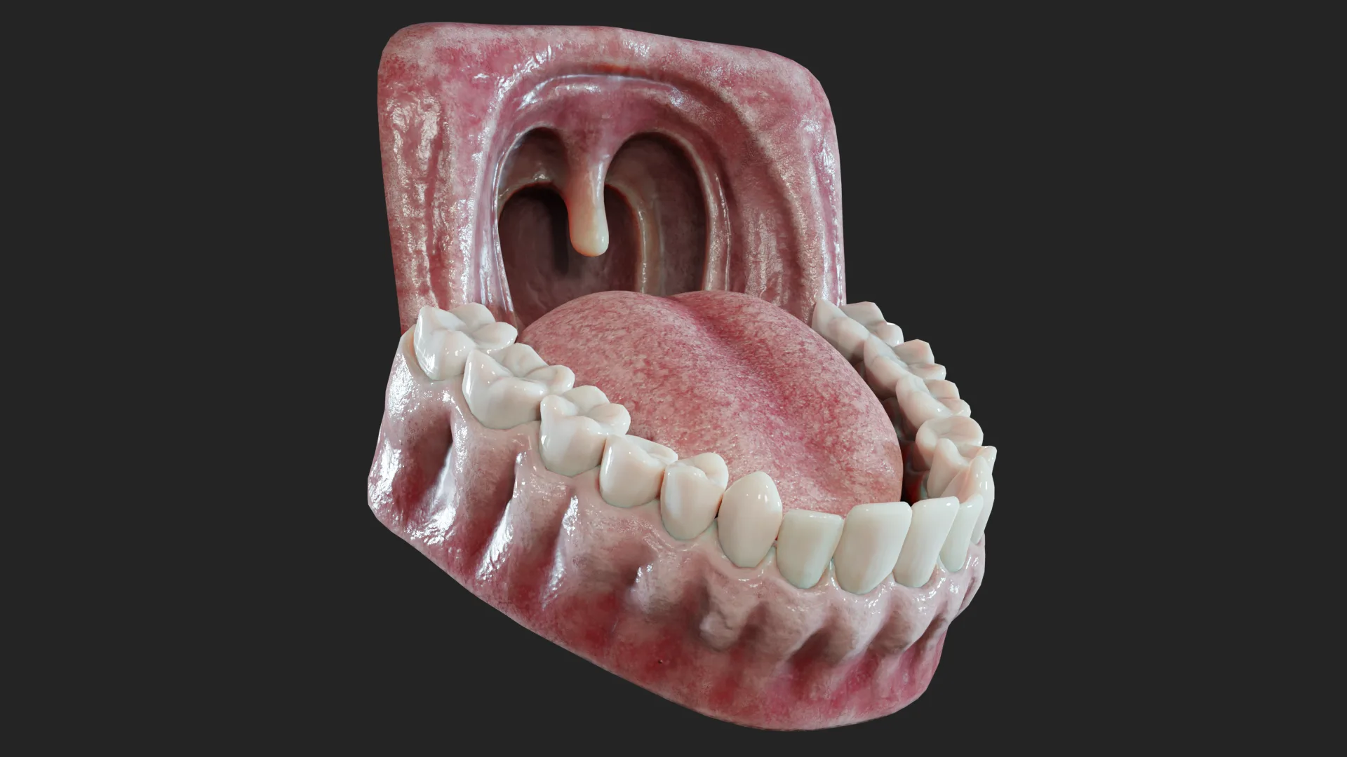 Realistic Mouth and Teeth Models - FlippedNormals