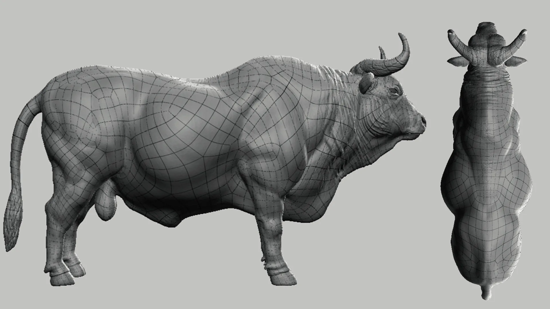 Bull - Topology + UV Map - FlippedNormals
