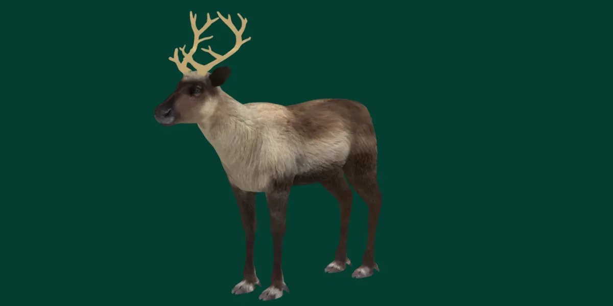 Reindeer Caribou Animal - FlippedNormals