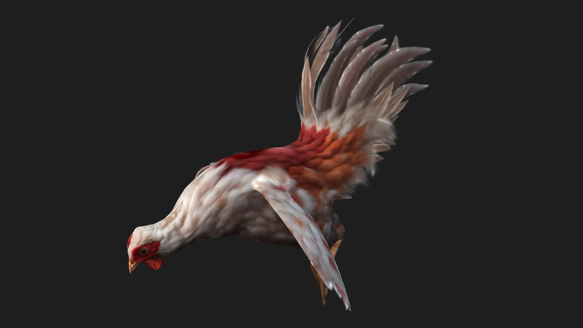 Chicken_A2 - FlippedNormals