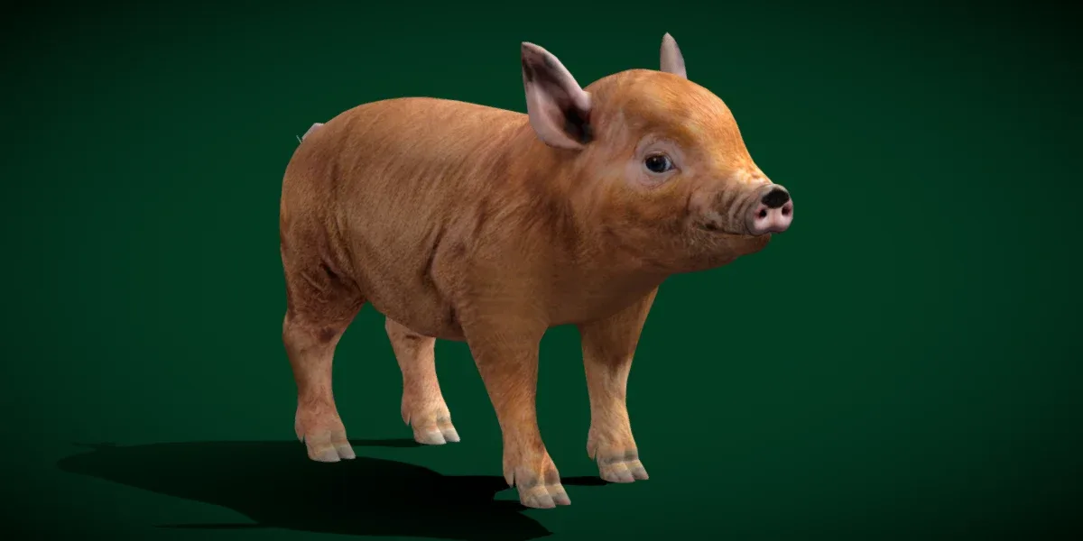 Miniature Pig Animal - FlippedNormals