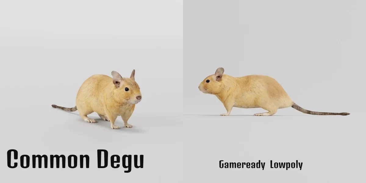 Common Degu Rat - FlippedNormals