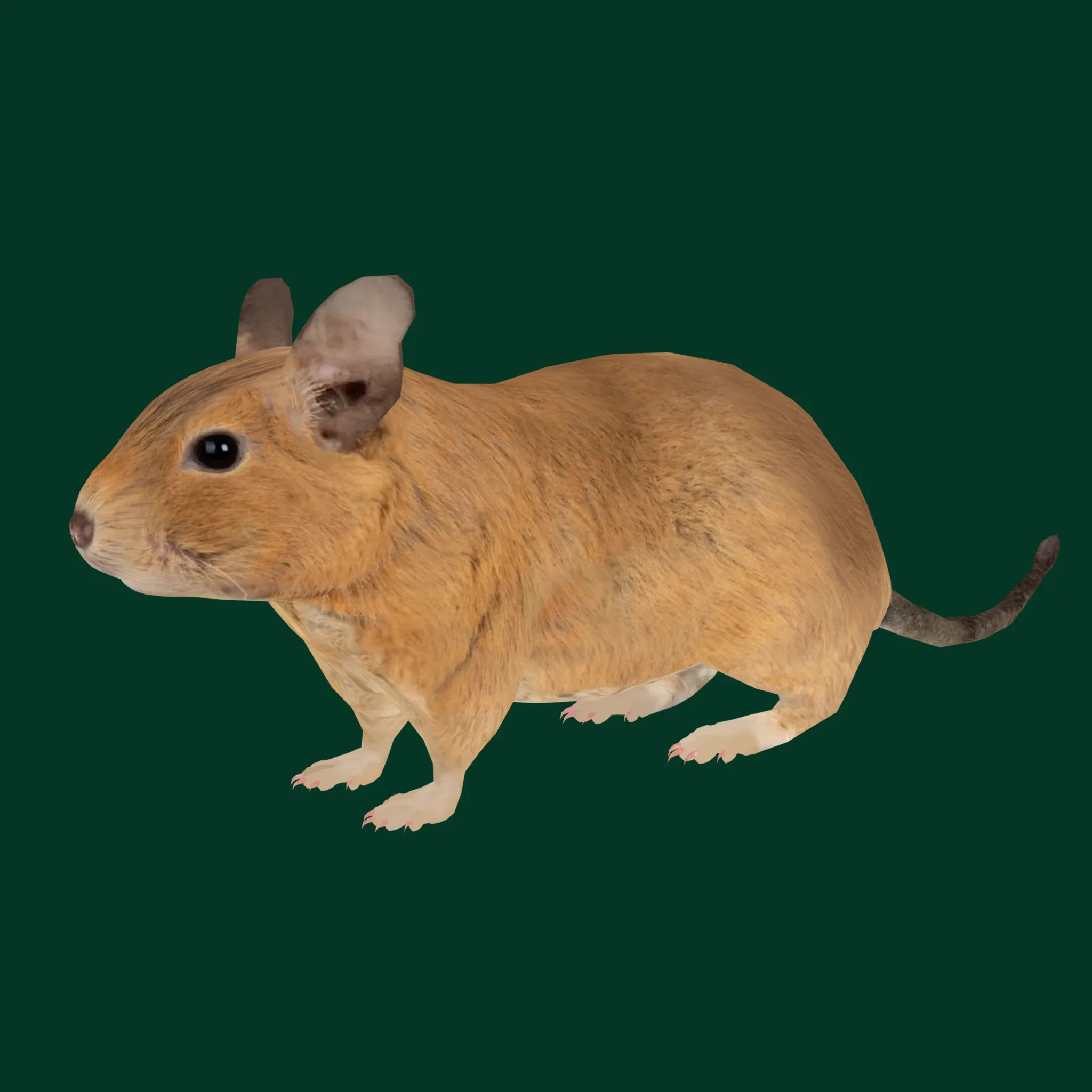 Common Degu Rat - FlippedNormals