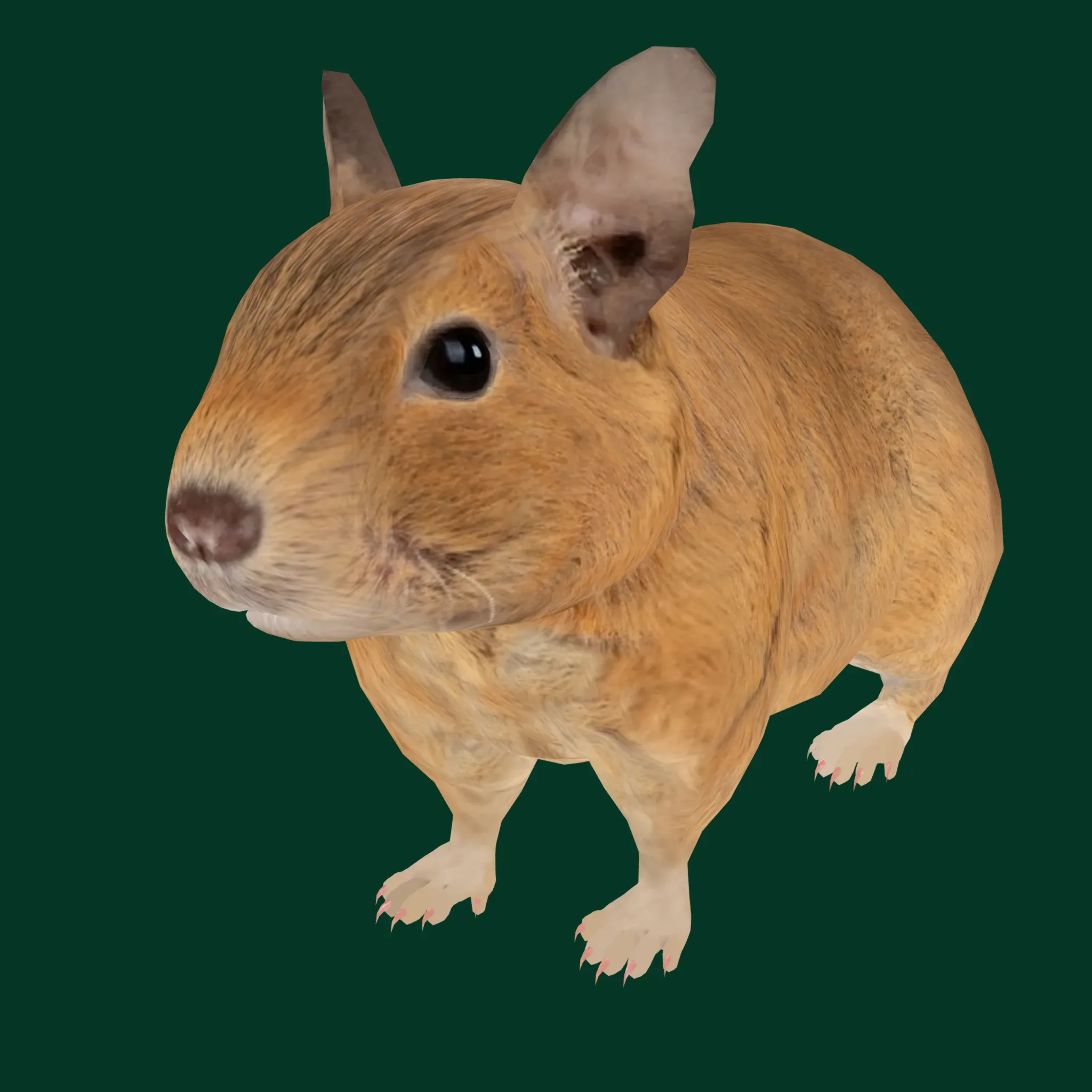 Common Degu Rat - FlippedNormals