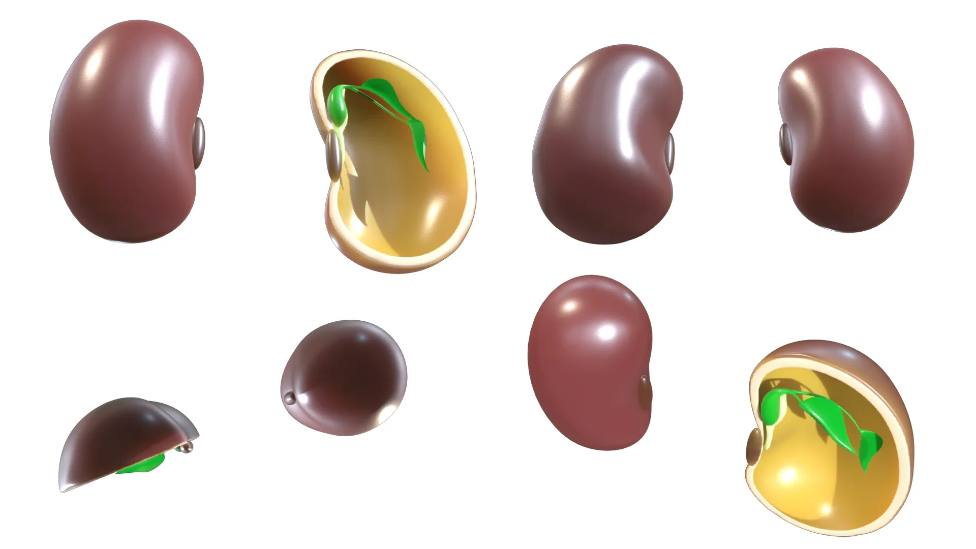 Anatomy of A Bean Seed - FlippedNormals